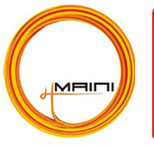 MAINI PRECISION PRODUCTS LTD